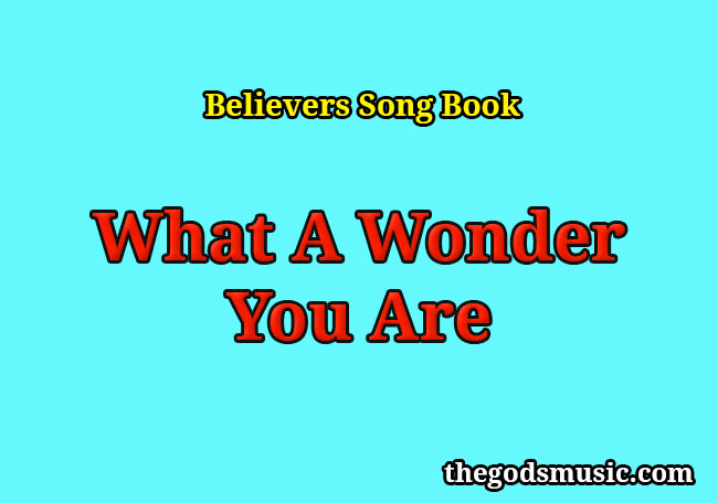 What A Wonder You Are Christian Song Lyrics